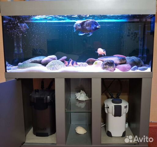 Аквариум