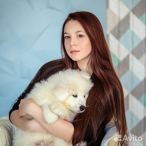 Белоснежный комочек