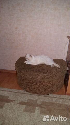 Вязка