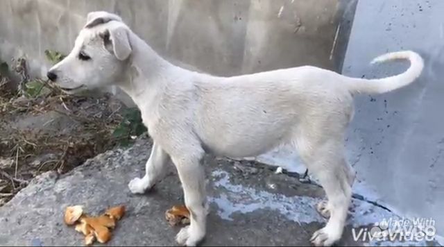 Прибился на базу