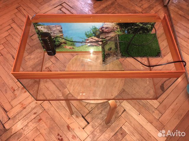 Аквариум для красноухой черепахи