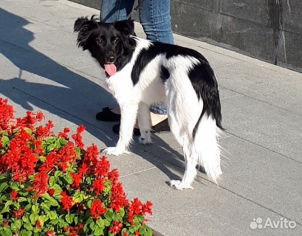 Брюс ищет дом