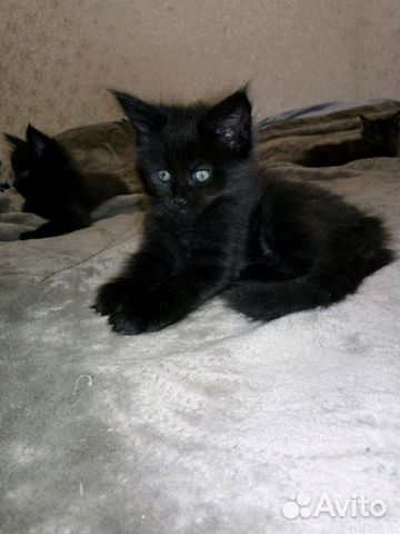 Мейкунчики