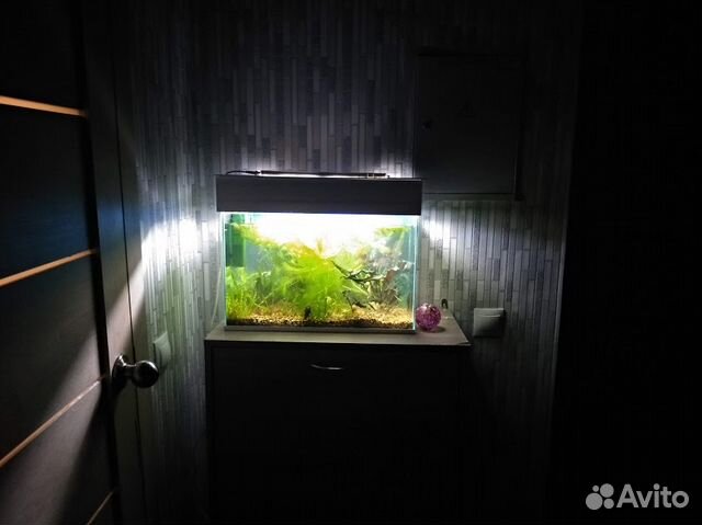 Аквариум с рыбками (полный комплект)