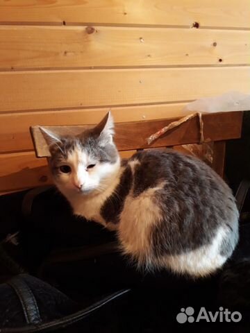 Ласковый и контактный мальчик ищет дом