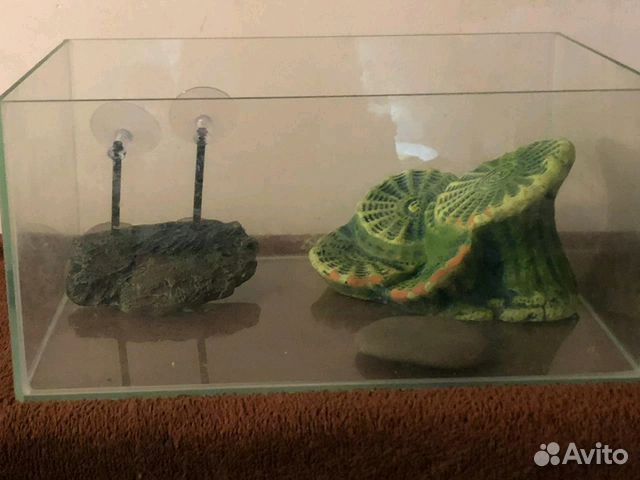 Аквариум с двумя островками
