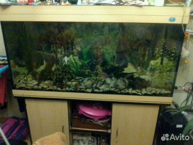 Аквариум 320 литров + тумба + все комплектующие