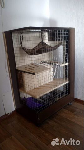 Продам хорька