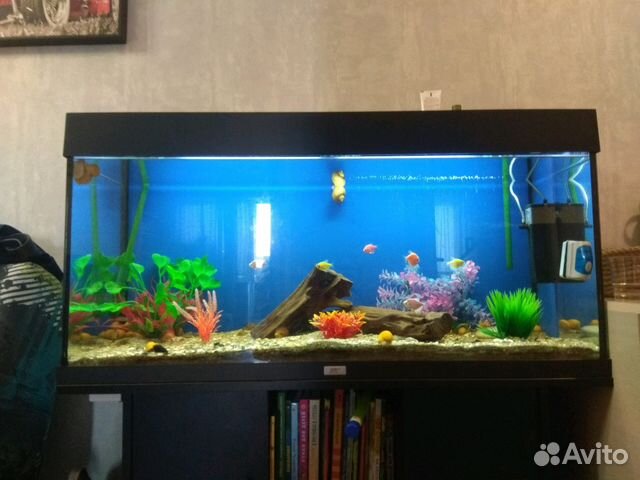 Аквариум Juwel торг