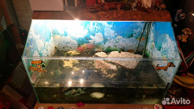 Аквариум для водной черепахи