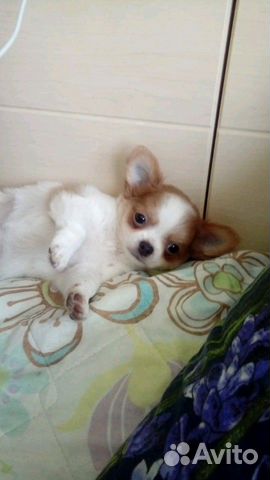 Очаровательная малютка