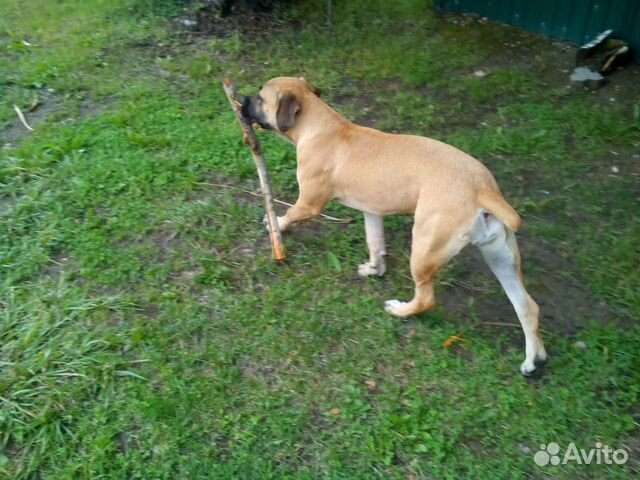 Бурбуль девочка 1год