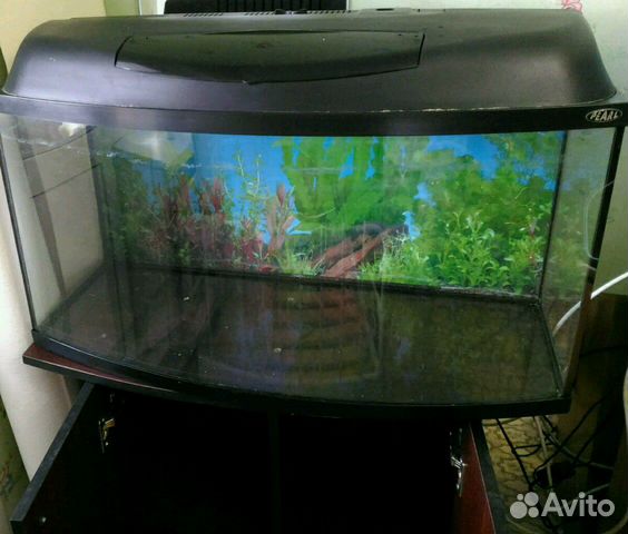 Аквариум для рыб
