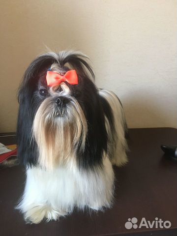 Девочка конфетка
