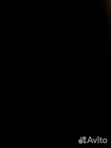 Кобыла и 3 жеребчика 6 мес,2-5 мес и 3-5 мес