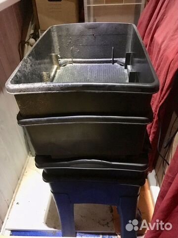 Красные калифорнийские черви