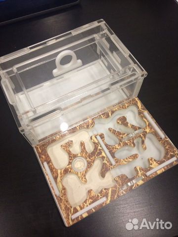 Муравьиная ферма