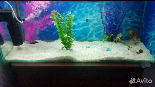 Аквариум