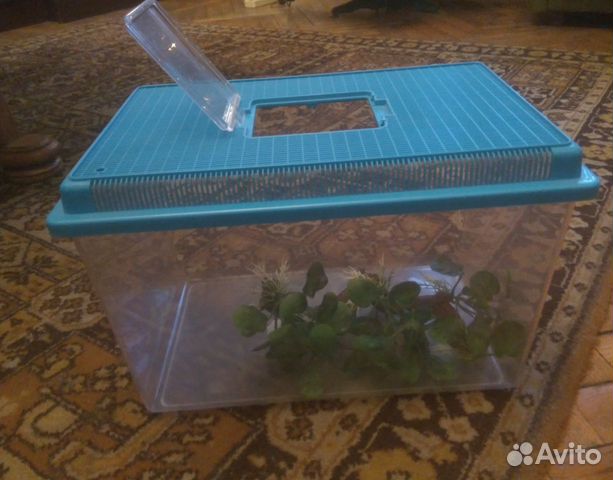 Аквариум (бокс) пластиковый для мелких животных