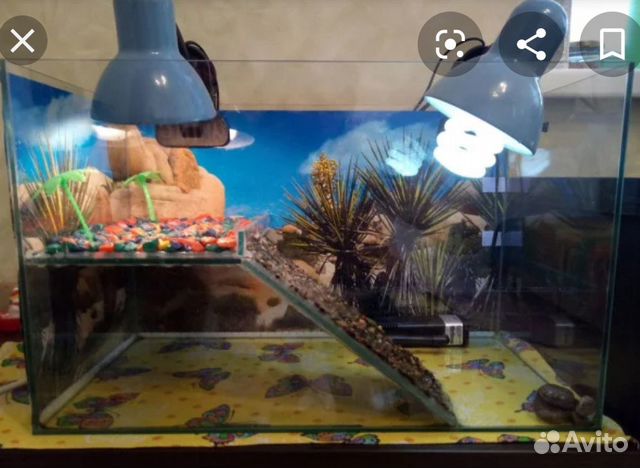 Аквариум для черепах