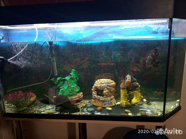 Аквариум 270л