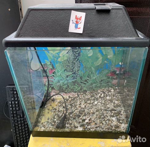 Аквариум 20л