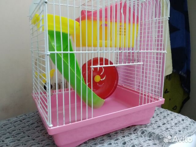 Джингарский хомяк с клеткой и кормом