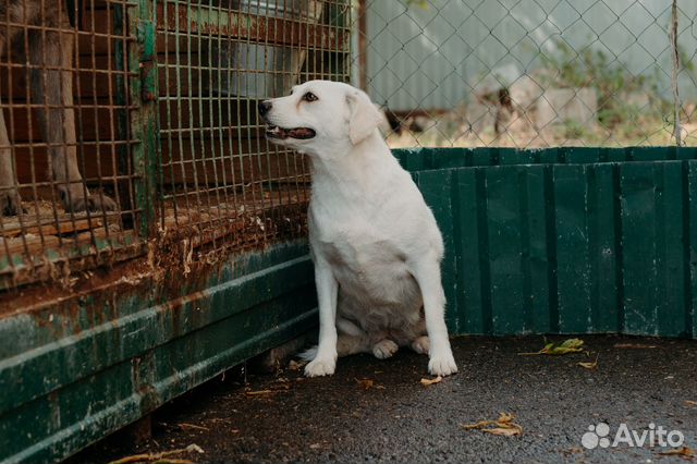 Сладкий ребенок Амели плачет без семьи