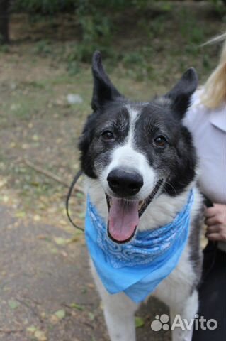 Тимон живет всю жизнь в клетке