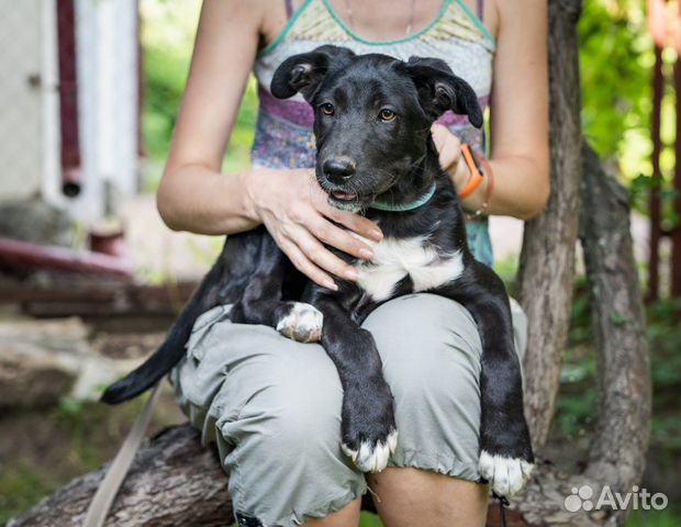 Рокс малышка