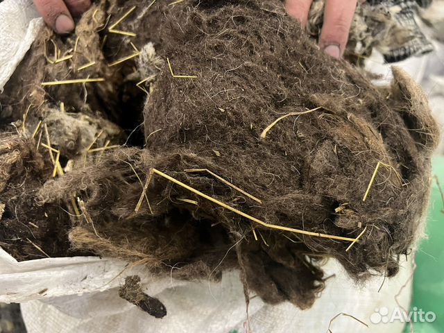 Продам шерсть овечью