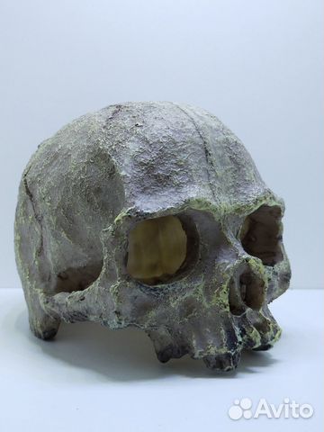 Стильное оформление аквариума - Аквасалон Дискус