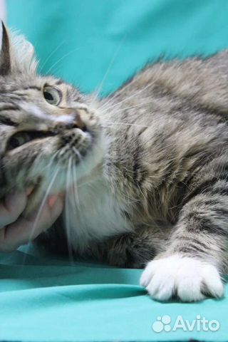 Дженни и её последний шанс