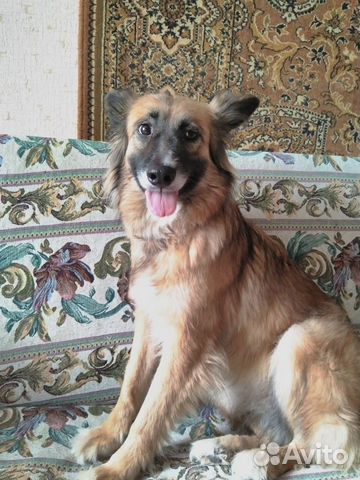 Красивая охранница в добрые руки