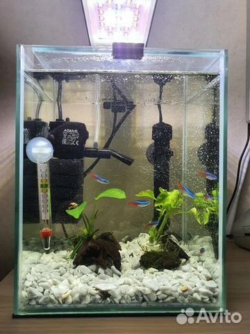 Аквариум aquael shrimp 20