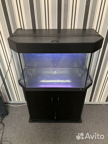 Аквариум juwel panorama 80 вместе с тумбой