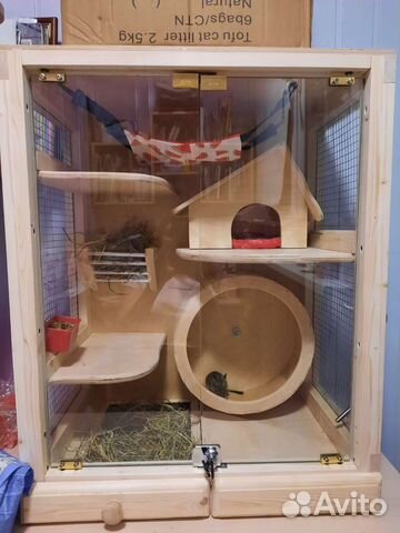 Белки дегу с клеткой