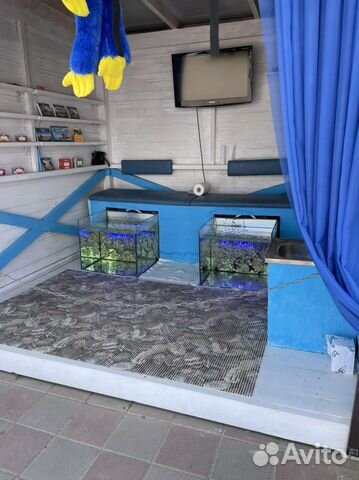 Аквариумные рыбки