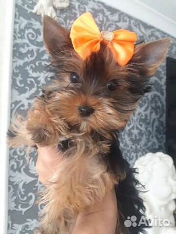 Девченочка малышка