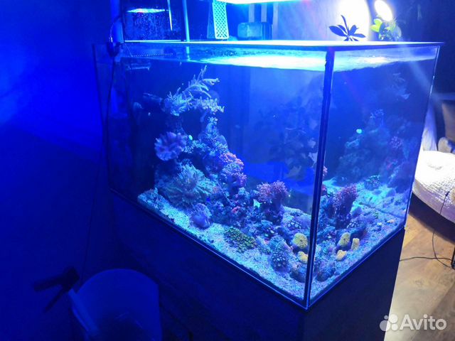 Морской аквариум