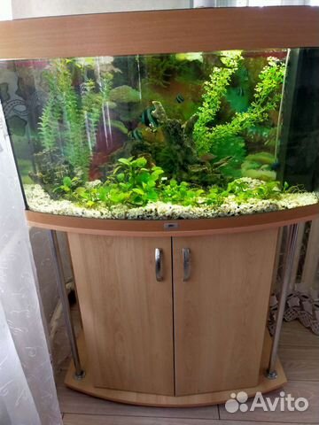 Аквариум с тумбой juwel