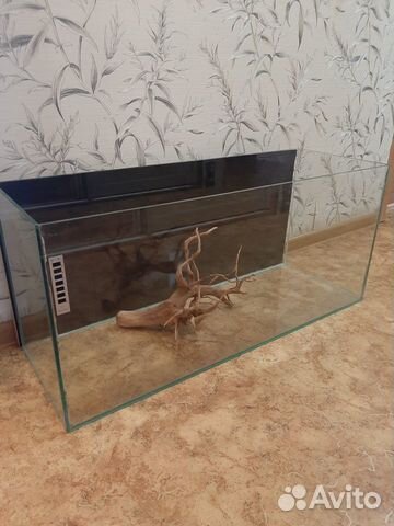 Аквариум на 100 литров