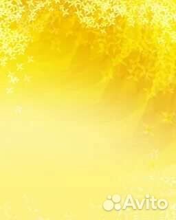 Продам теленка тёлку