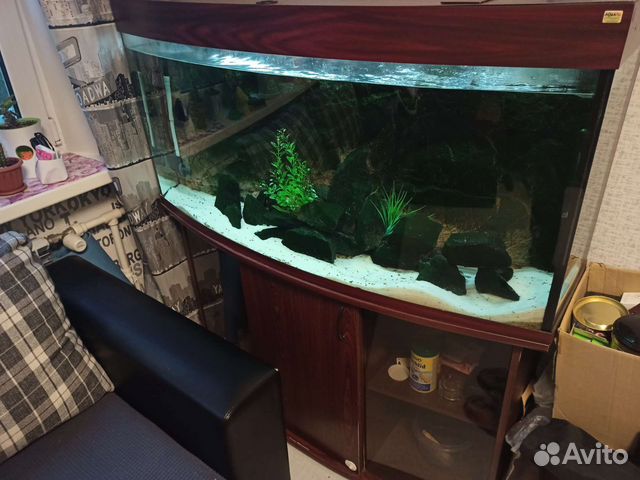 Аквариум с тумбой и фильтром