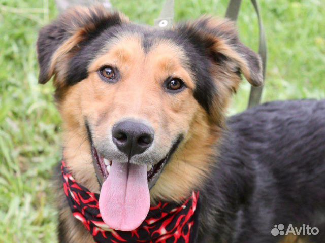 Детство Гарика проходит за решеткой