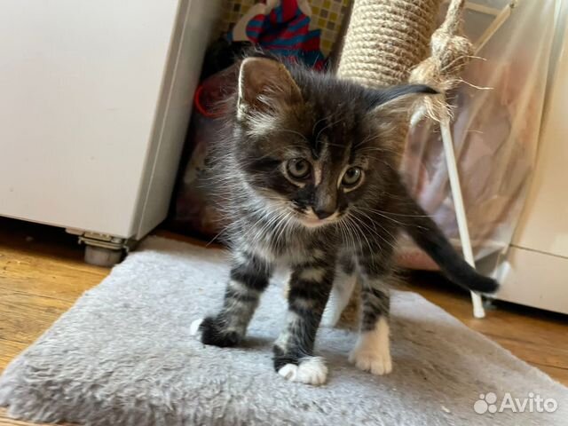 Цветные горошинки в добрые ручки