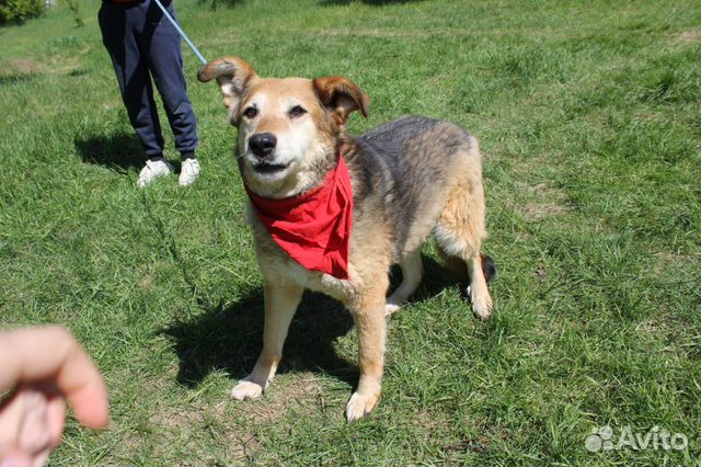 Самая ласковая Дина ищет семью