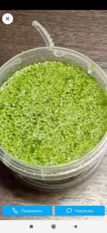 Ряска, продажа или обмен предлагайте