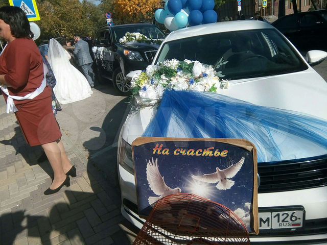 Голуби на свадьбу