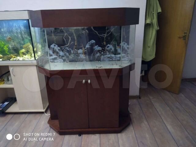 Аквариум/террариум